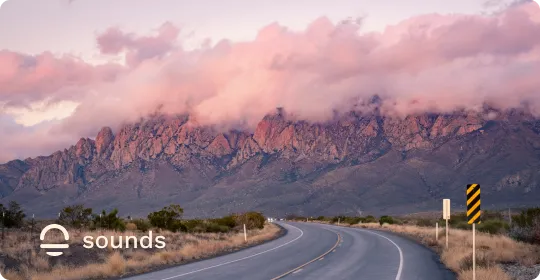 Pilot | The Collaborative Trip Planner